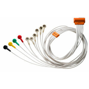 10 Lead Cables